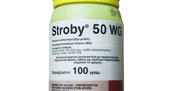 Stroby 50wg 100gr