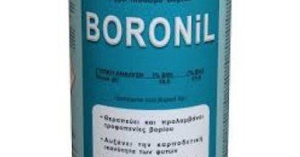 Boronil 1lt