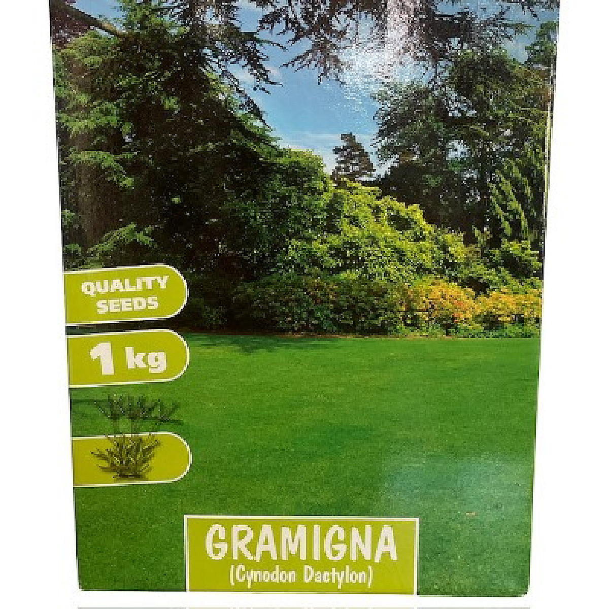 Σπόροι γκαζόν αγριάδα Cynodon Dactylon 1kg